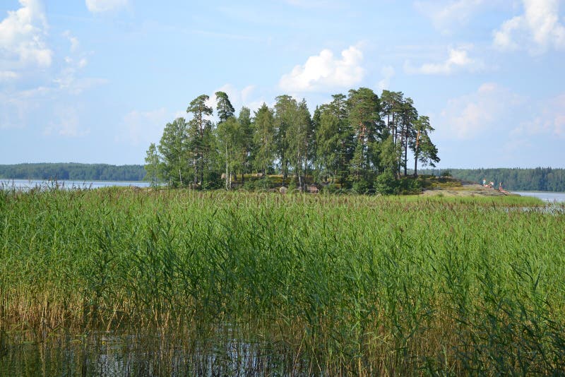 Mon Repos park stock photo. Image of rock, peaceful, park - 26899656