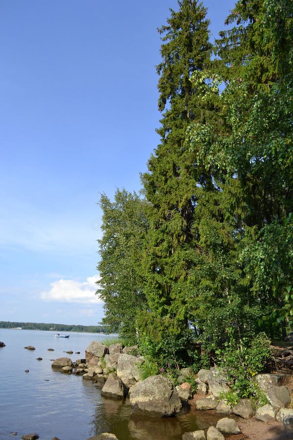 Mon Repos park stock image. Image of isthmus, bright - 26899729