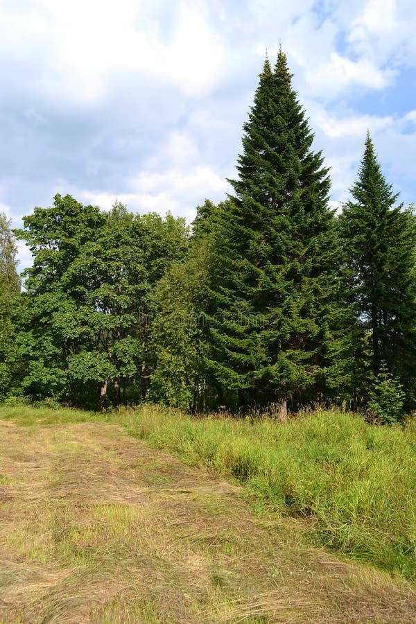 Mon Repos park stock image. Image of isthmus, colorful - 27126771