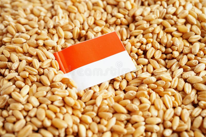 Monaco Flag on Grain Wheat, Trade Export and Economy Concept Stock ...