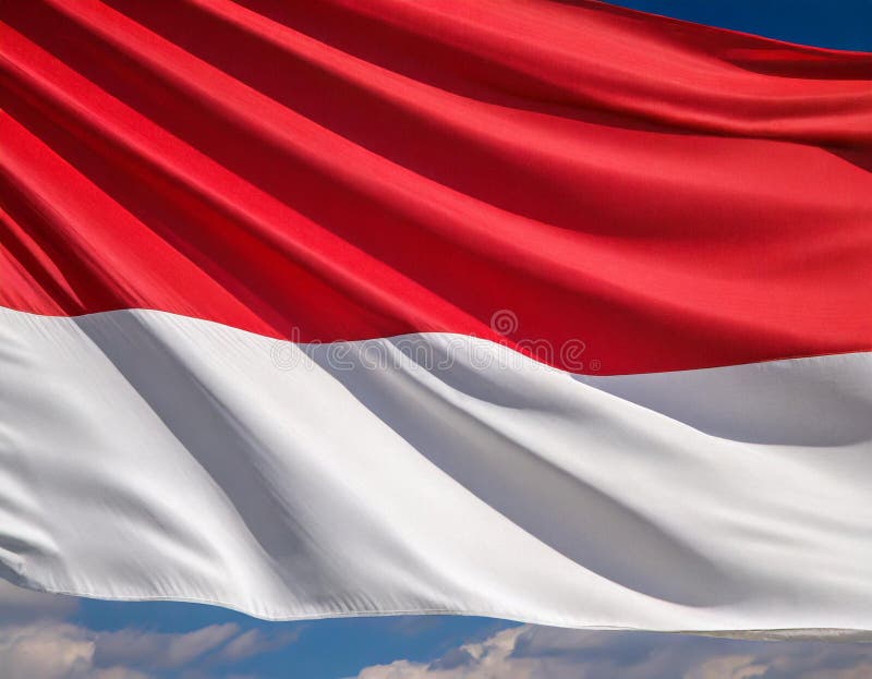 Monaco Flag Waving on the Wind Stock Illustration - Illustration of ...