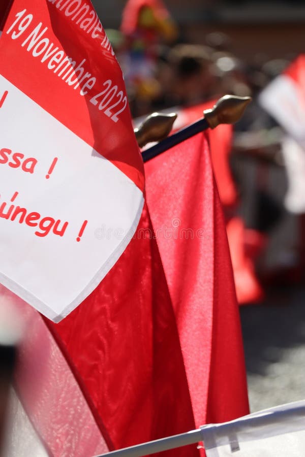 Flags of Monaco on the National Day of the Principality - the Sovereign ...