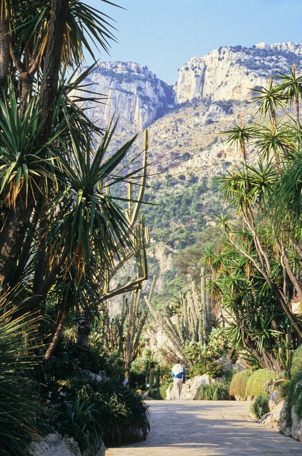 Monaco garden stock image. Image of cactus, vegetation - 1269373