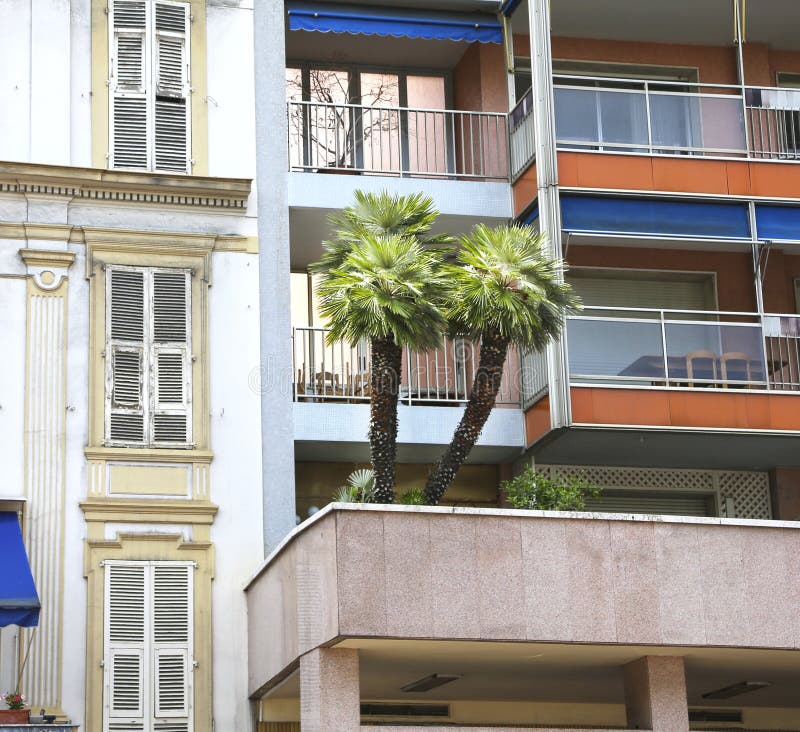 Monaco, Monaco - June 13, 2014: Palm Trees Growing on the Balcony of a ...