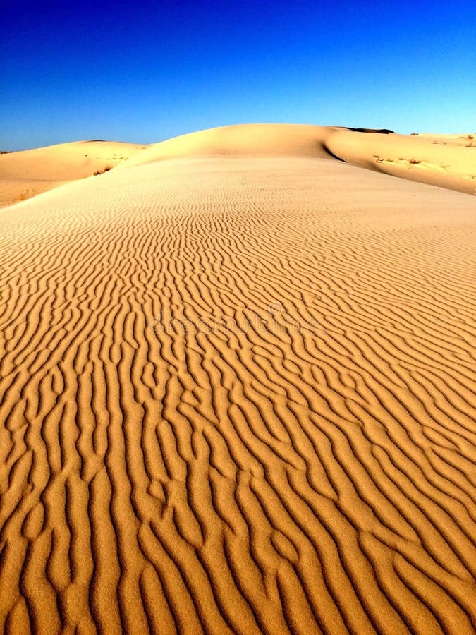 Monahans Sandhills State Park. Stock Photo - Image of interesting, dune ...