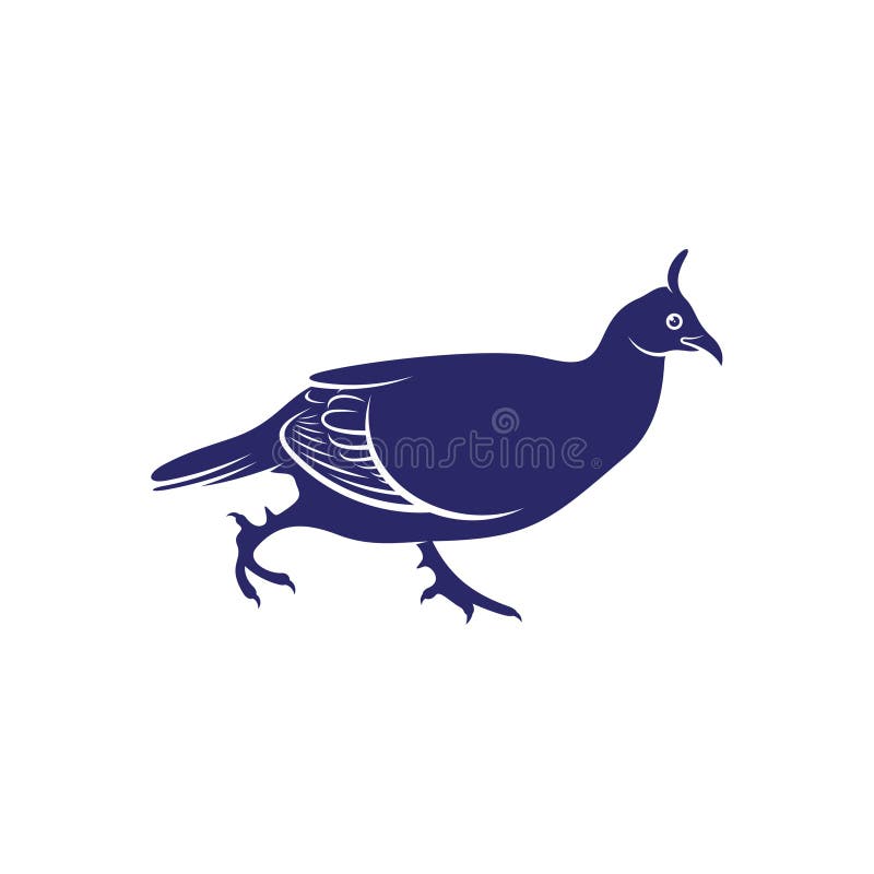 Monal Himalayan Design Vector Illustration. Monal Himalayan Silhouette ...