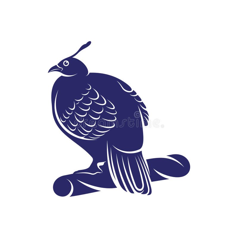 Monal Himalayan Design Vector Illustration. Monal Himalayan Silhouette ...