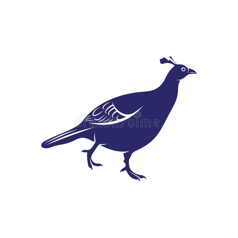 Monal Himalayan Design Vector Illustration. Monal Himalayan Silhouette ...