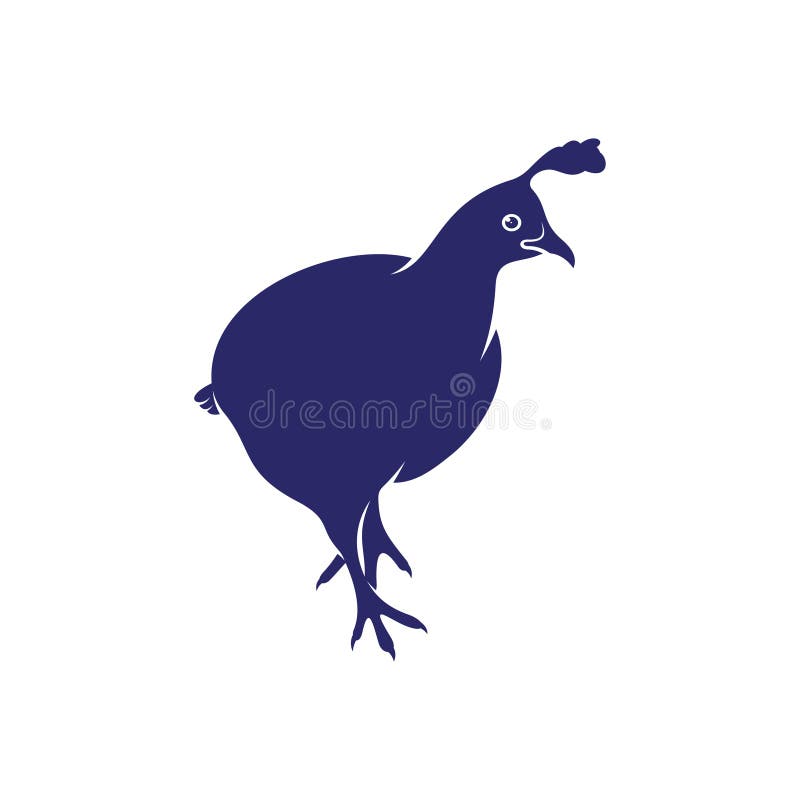 Monal Himalayan Design Vector Illustration. Monal Himalayan Silhouette ...