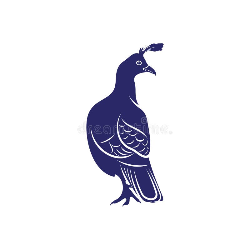 Monal Himalayan Design Vector Illustration. Monal Himalayan Silhouette ...