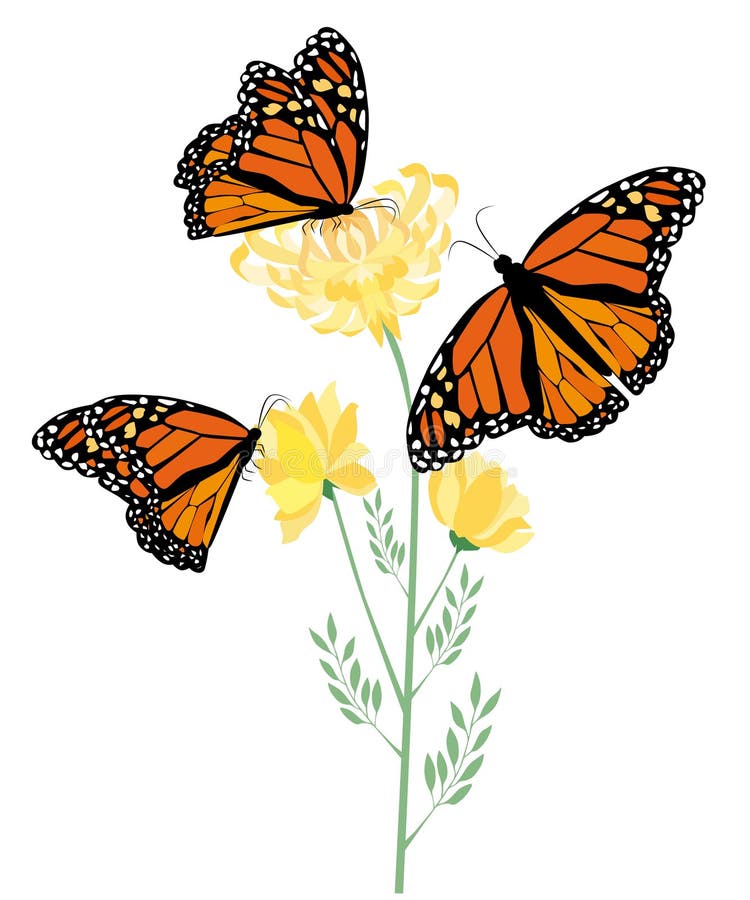 Monarch Butterflies with Flowers 1 Stock Vector - Illustration of ...