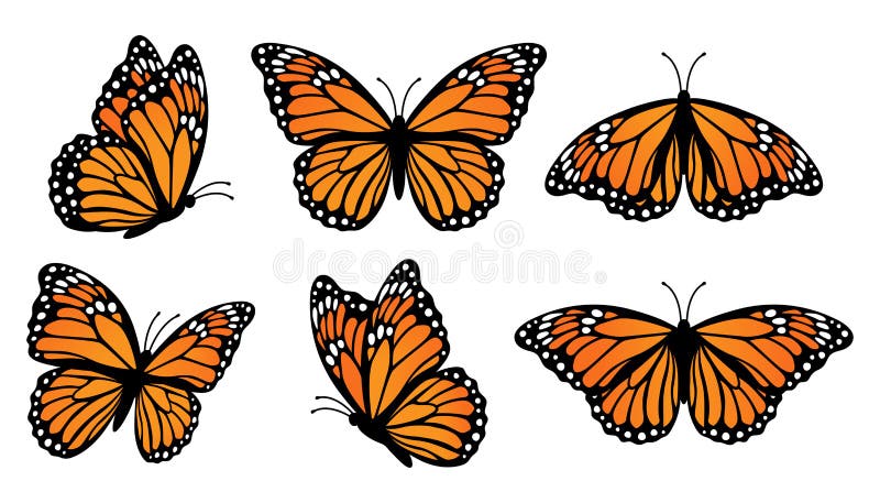 Monarch Butterfly Silhouette Side View Vector Illustration Isolated