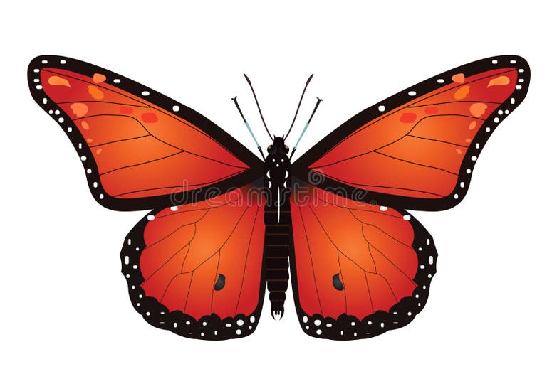 Butterfly Monarch Outline Stock Illustrations – 2,818 Butterfly Monarch ...