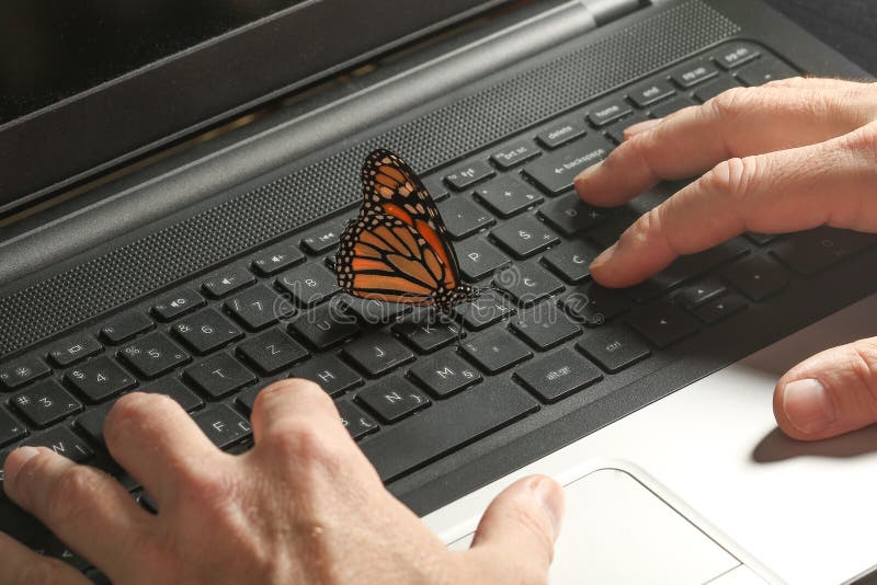 Monarch Butterfly on the Laptop Keyboard and Ecological Energy Stock ...