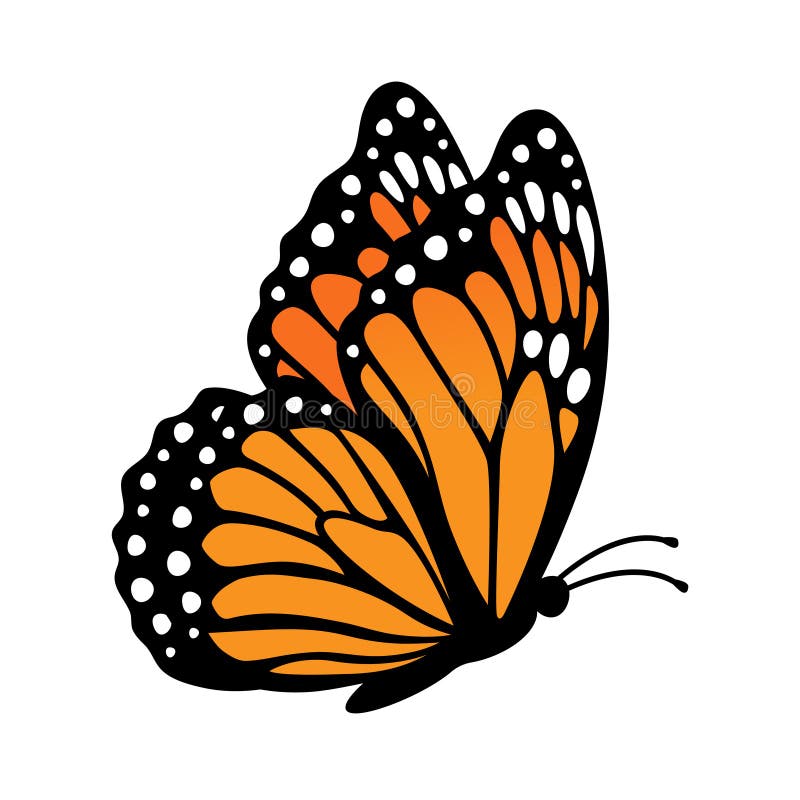 Monarch Butterfly Silhouette Side View Vector Illustration Isolated