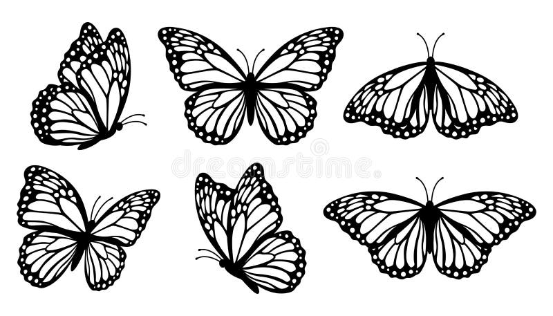 Monarch Butterfly Side View Vector Illustration Isolated On White
