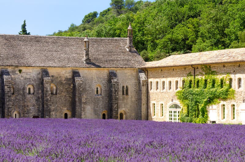 Monasteries of the Cistercian Stock Image - Image of lavande ...