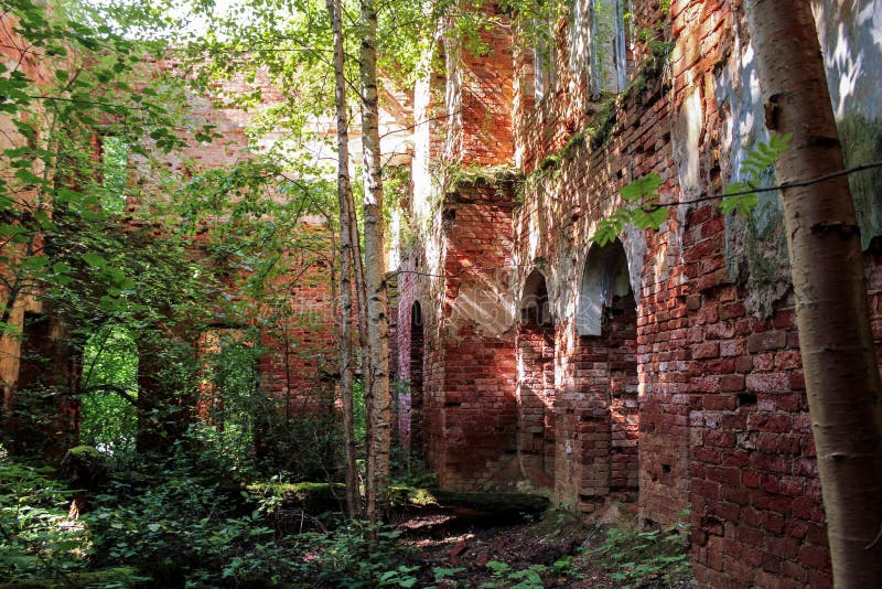 The Monastery is Covered with Forest. Stock Photo - Image of forest ...