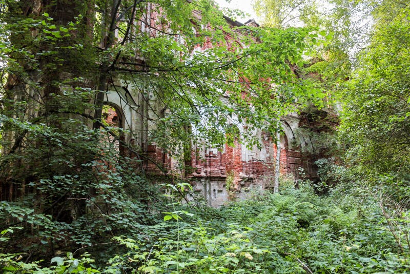 The Monastery is Covered with Forest. Stock Photo - Image of ruins ...