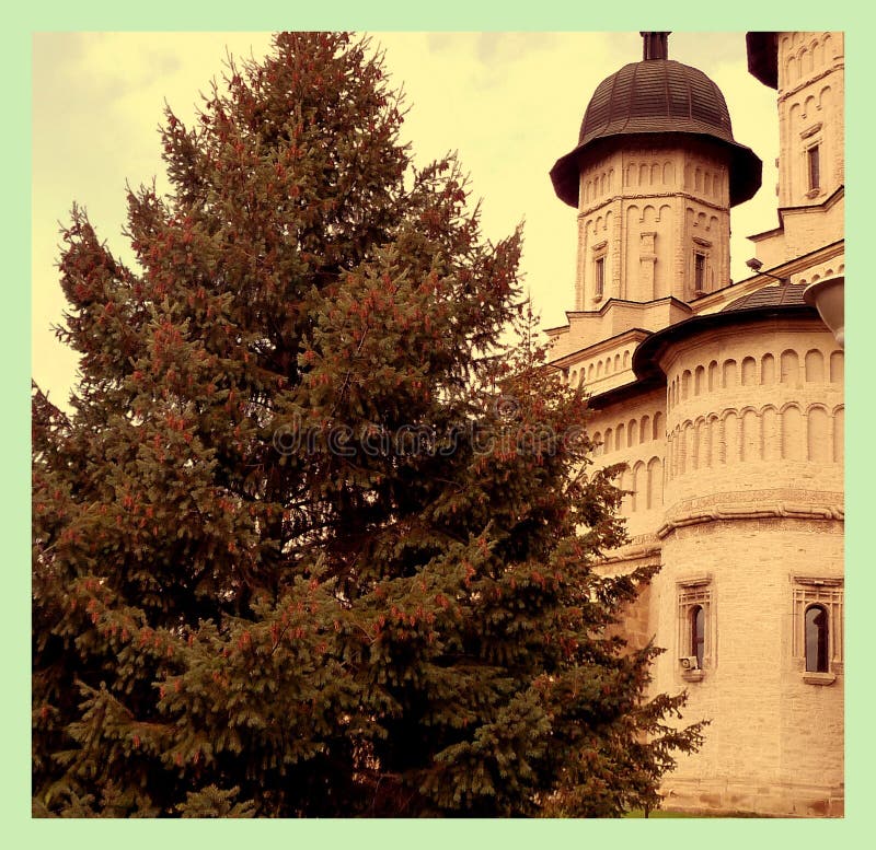 Monastery And A Gorgeous Pine Tree. Picture Image: 97381499