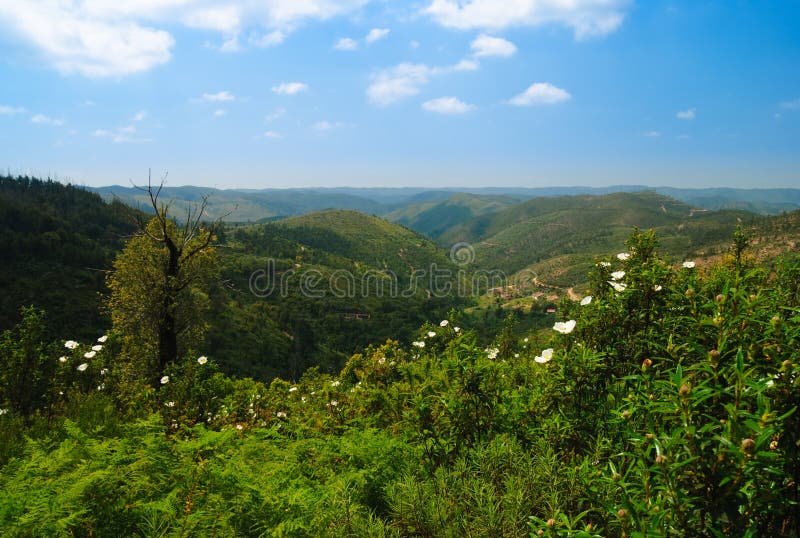 Serra de Monchique stock image. Image of peaceful, blue - 5273249
