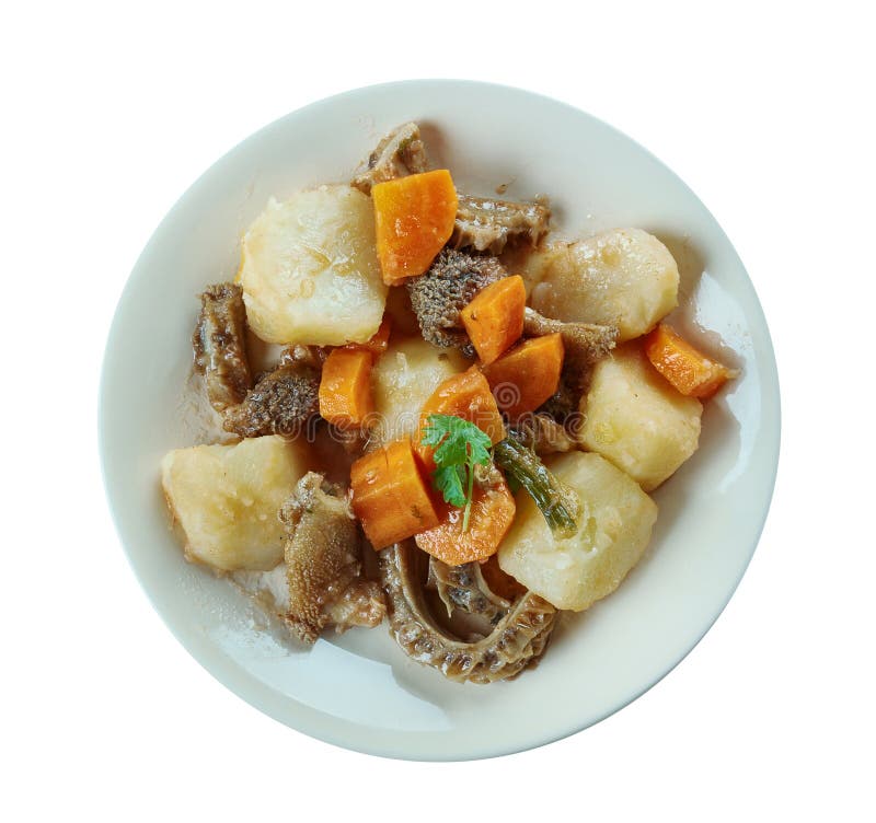 Mondongo stock photo. Image of cooked, lunch, slow, eating - 90045750