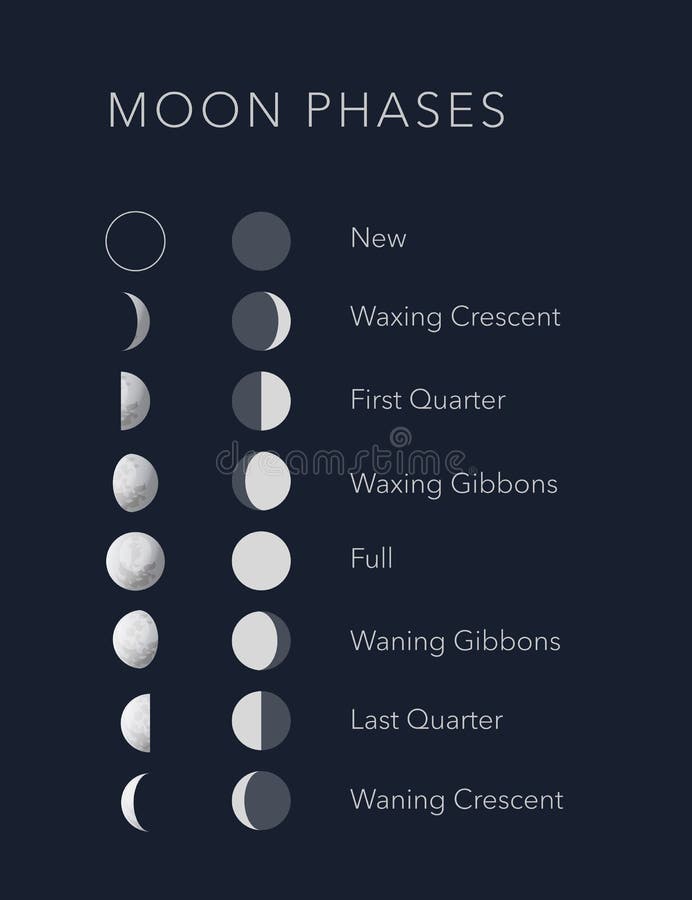 Mondphasen Mit Den Flachen Und Realistischen Symbolen Vektor Abbildung ...