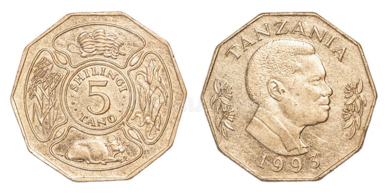 Moneda Del Chelín Tanzano 100 Foto de archivo - Imagen de cinco, primer ...