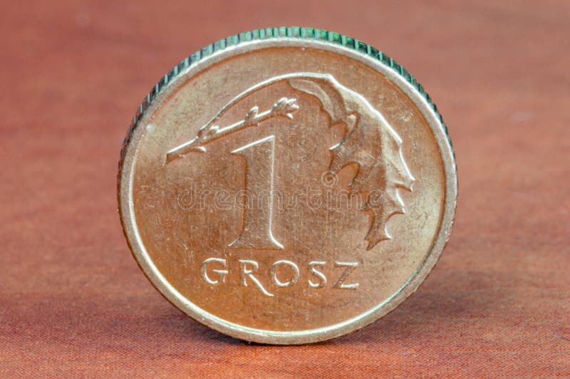 Polacco Una Moneta Del Grosz Fotografia Stock - Immagine di finanza ...
