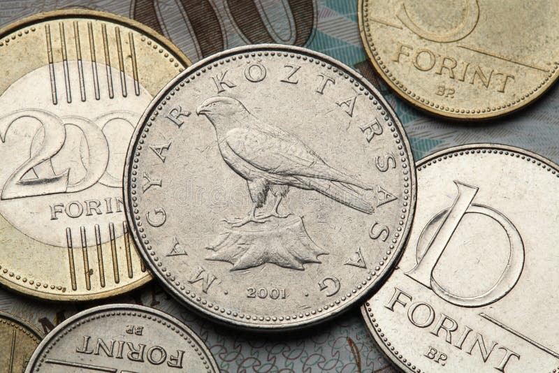 Monete Ungheresi Isolate Su Bianco Immagine Stock - Immagine di ...