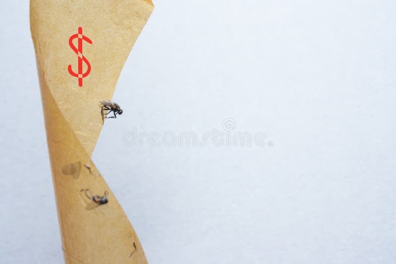 Money Addiction Concept. Young Woman Chained and Shackled To Dollar ...