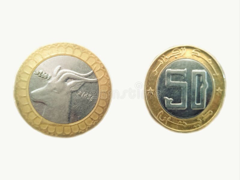 Money of Algeria stock image. Image of algerian, cash - 129819647