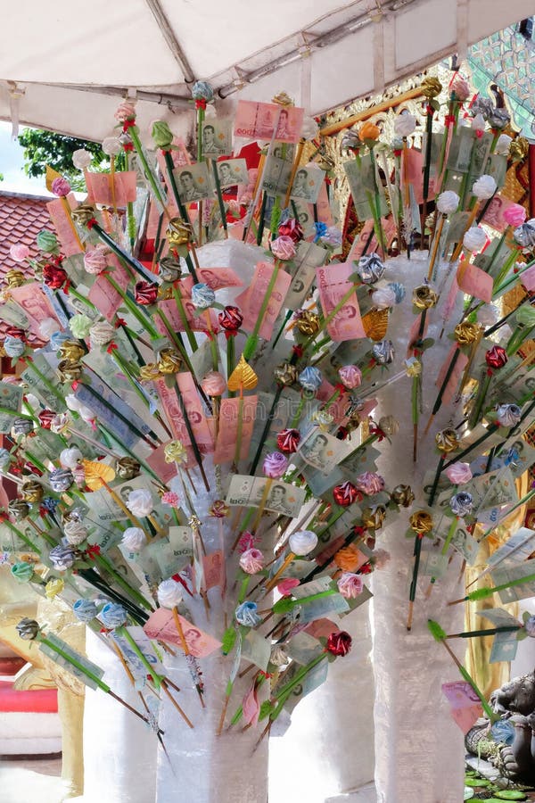 Money Banknotes or Money Trees in Bucket , Stock Image - Image of money ...