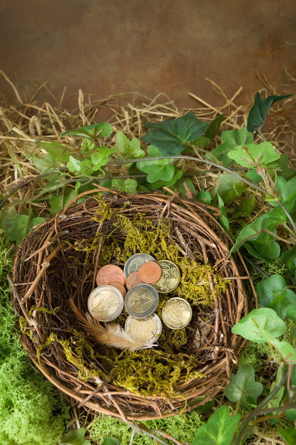 Money in bird s nest stock photo. Image of success, finance - 66151818