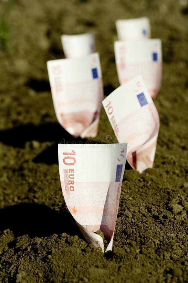 Money buried in ground stock image. Image of details, finances - 8952941