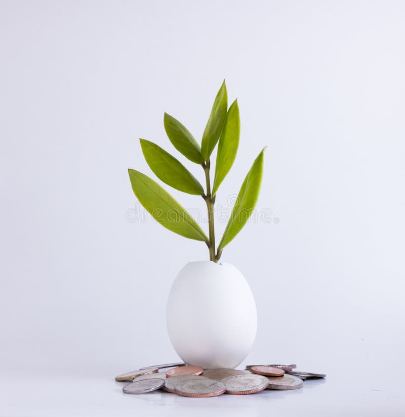 Money Egg stock photo. Image of investment, financial - 84828908