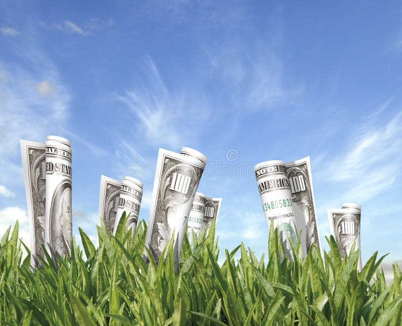 Money tree - euro stock photo. Image of fine, money, inflation - 36244774