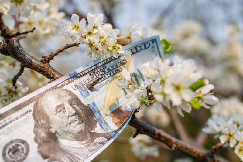 Apple Dollar Signs Stock Photos - Free & Royalty-Free Stock Photos from ...