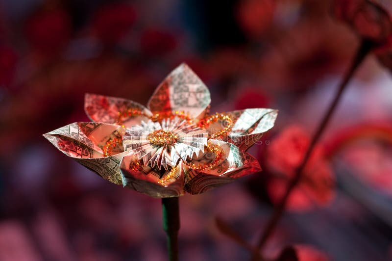 Money Flower stock image. Image of shape, fold, gift - 11220483
