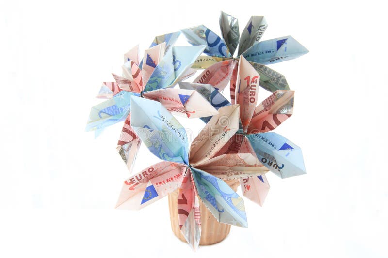 Money flower in a pot stock photo. Image of investment - 50254592