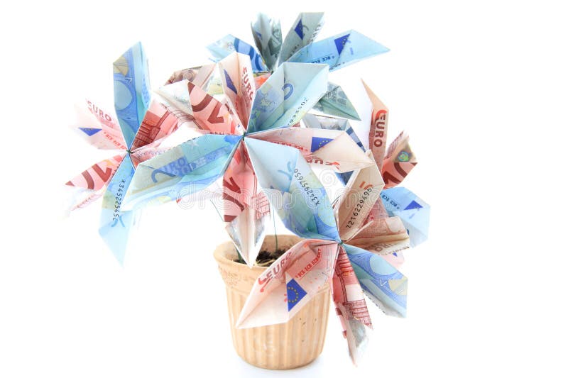 Money flower in a pot stock image. Image of currency - 50254593