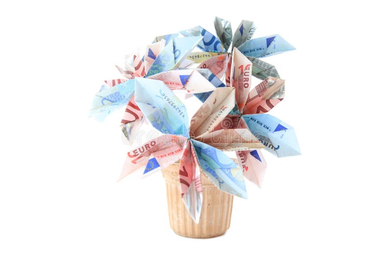 Money flower in a pot stock photo. Image of consumerism - 50254580