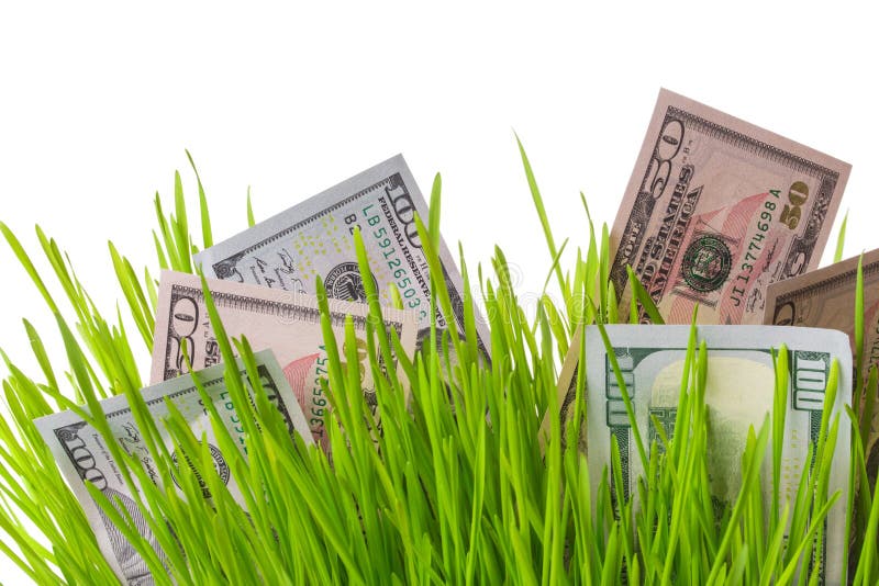 Money in grass stock photo. Image of dollar, banking - 65175378