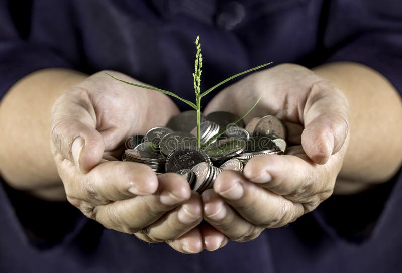 Money Growing on Coins because Diligence with Two Hands Stock Photo ...