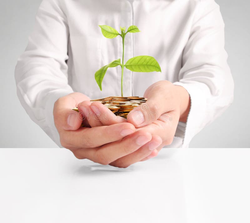 Money Growing from Coins in Hand Stock Photo - Image of growing ...