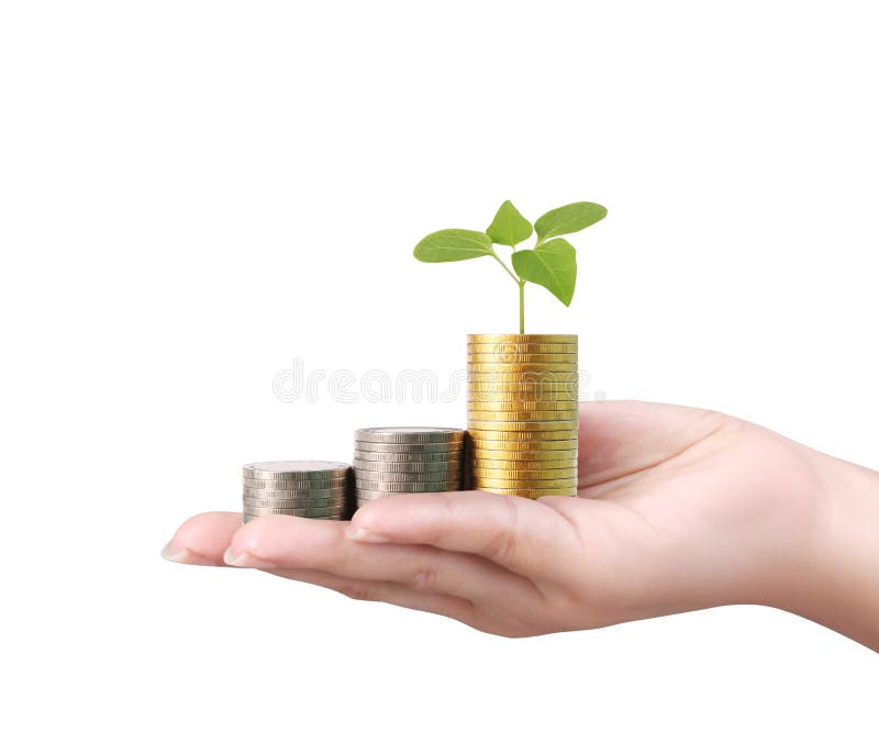 Money Growing from Coins in Hand Stock Photo - Image of interest ...