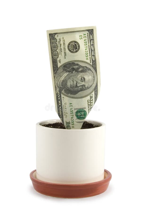 Money Growing in a Pot Isolated Stock Image - Image of concepts ...