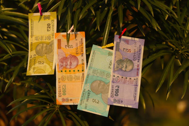Money on a Tree Branch. Indian Currency. Stock Image - Image of ...