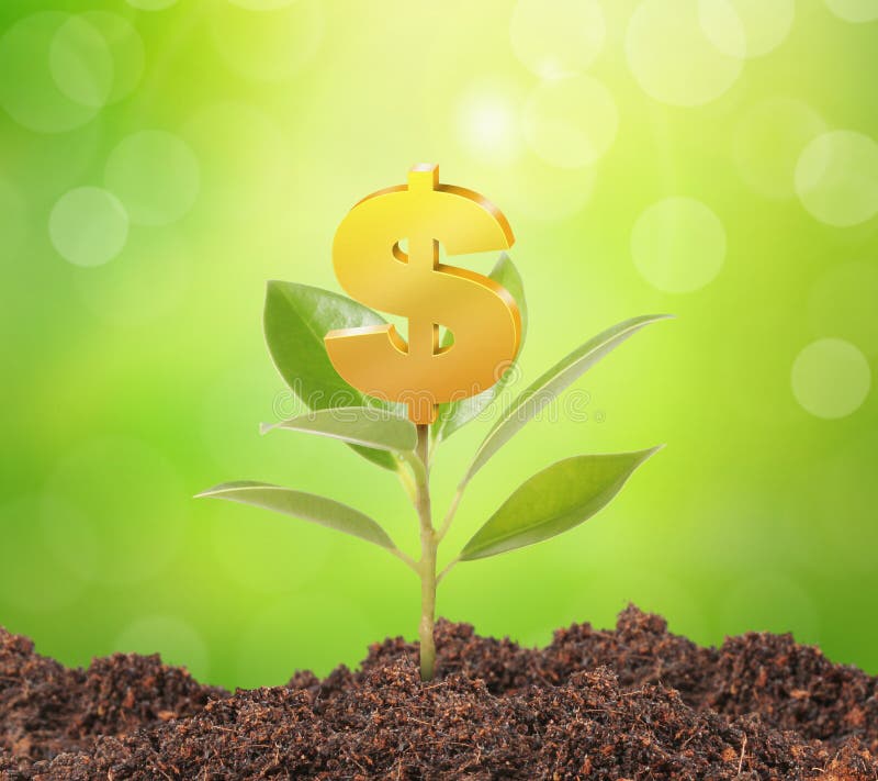 Australian Money Tree Stock Illustrations – 16 Australian Money Tree ...