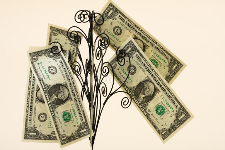 7,342 Money Trees Lyriucs Stock Photos - Free & Royalty-Free Stock ...